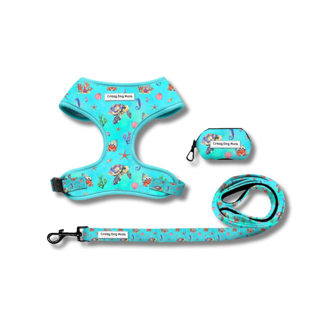 SET arnés ajustable + correa – Crazy dog mum